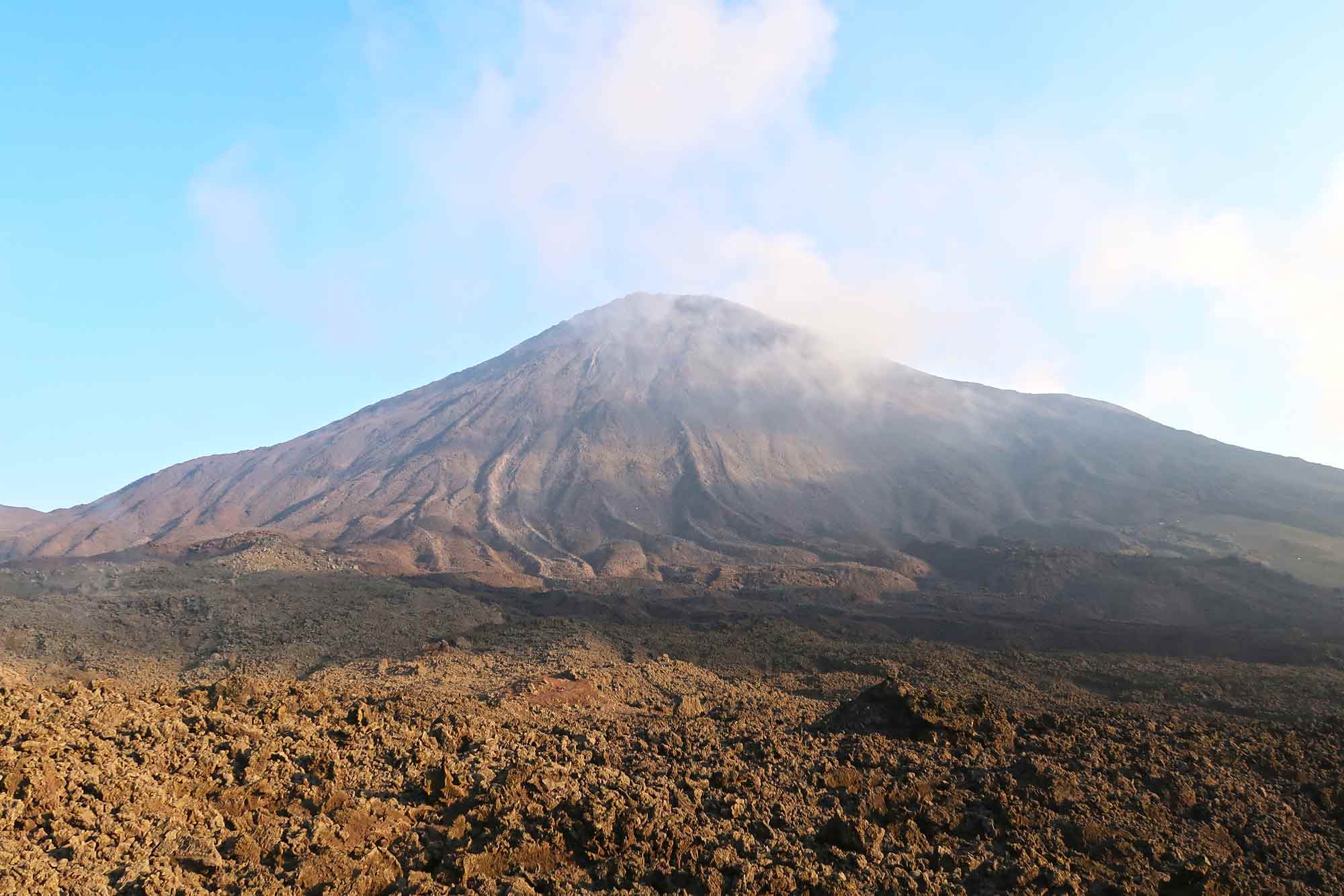 Pacaya Vulkan Tour: Röste Marshmellows in einem aktiven Vulkan